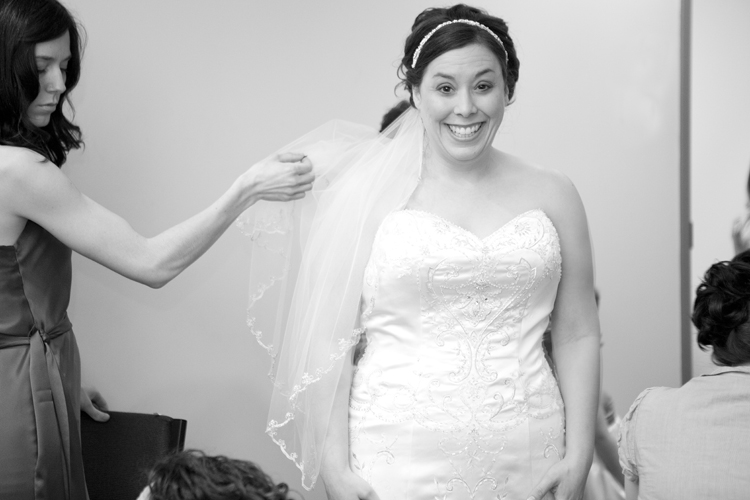 Marie & Brian | Milwaukee Wedding Photographer » Lisa Mathewson Photography